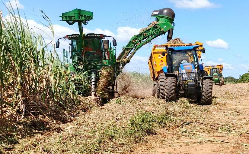 Zafra azucarera reporta una producción de 3.4 millones de quintales en ...