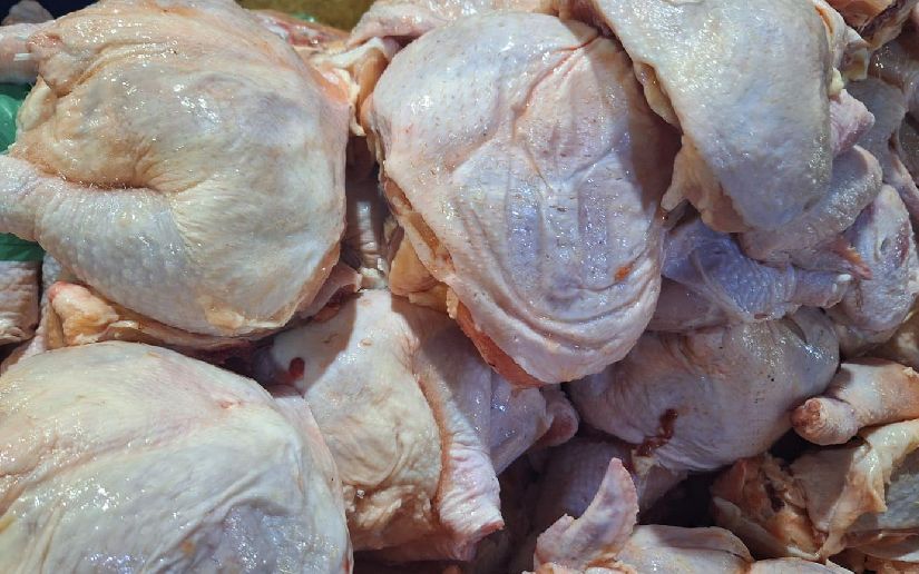 MAG registra una producción de 107 millones de libras de pollo en el ...